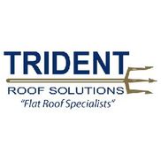 Trident Roof Solutions - Grand Rapids, MI - Alignable