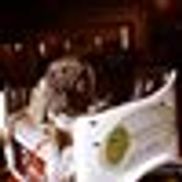 Raleigh Rickshaw Co. - Raleigh, NC - Alignable