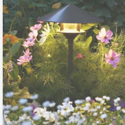 DiverseGifts - Elgin, SC - Alignable