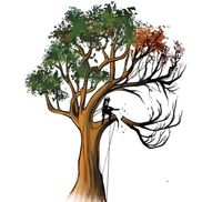 Climb It High Tree Experts - Cornville Area - Alignable