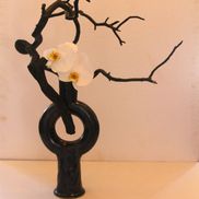 Lisa Ayala, Floral Artist/Floral Designer - Alignable