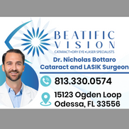 Beatific Vision - Odessa, FL - Alignable