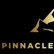 Pinnacle Logistics Group - Phoenix, AZ - Alignable