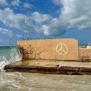 Bird Counseling LLC - Somerset, MA - Alignable