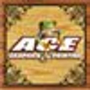 Ace Graphics & Printing - Camdenton, MO - Alignable