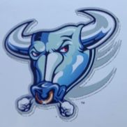 Bullit Police Services - Rowlett, TX - Alignable