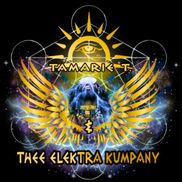 Tamarie T. & Thee Elektra Kumpany - New Orleans, LA - Alignable