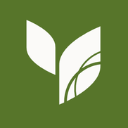 Evergreen Digital Marketing - Chicago, IL - Alignable