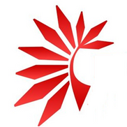 RedFerns Tech Inc. - Naperville, IL - Alignable