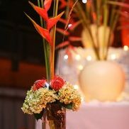 OSHi Flowers - Nashville, TN - Alignable