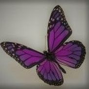 Appalachia Gypsy Healing Arts - Oak Ridge, TN - Alignable