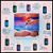 Chromatic Raindrop Technique by Raindrop Northwest Massage Therapy ...