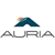 Auria Solutions - Southfield, MI - Alignable