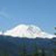 Rex D. Gallion PLS - Enumclaw, WA - Alignable