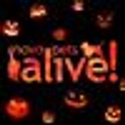 NOVA Pets Alive - Greenbriar, VA - Alignable