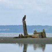 Lily Point Park Lodge - Point Roberts Area - Alignable