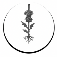 Bronwen Erickson Acupuncture - Vernon, BC - Alignable