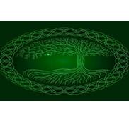 Wallingford, CT Local Business Community Newsletter - November 16, 2025