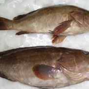 CAAF DISTRIBUTION FISH & SEAFOOD LTD - Calgary, AB - Alignable