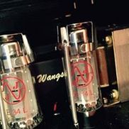 20 models of Tube Amps and analog micro modular devices by Wangs ...