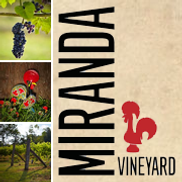 Miranda Vineyard Goshen CT Wine Tasting - Goshen Area - Alignable
