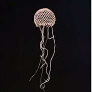 Stephanie Crossman Designs - Vinalhaven Area - Alignable