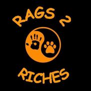Rags 2 Riches Animal Rescue Inc - Aston, PA - Alignable