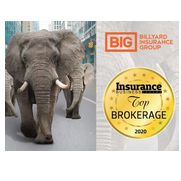 Billyard Insurance Group - Brantford - Brantford, ON - Alignable
