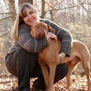 Jennifer Forsyth, VMD - Washington Township, NJ - Alignable