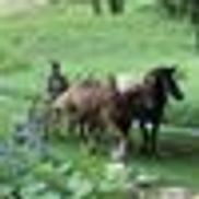 David King Solar - Abingdon, VA - Alignable