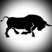 Bull Construction, LLC - Aumsville Area - Alignable