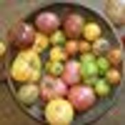 Laughing Raven Farm - Sequim, WA - Alignable