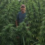 Earth Matters Hemp Hawaii - Naalehu Area - Alignable