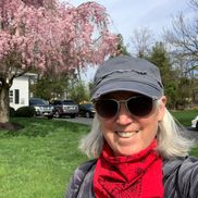 Erynn Murray's response to what business in hillsborough has helped you ...