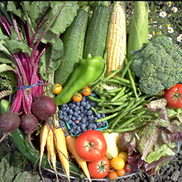Princes Farm Stand - Mountainside, NJ - Alignable