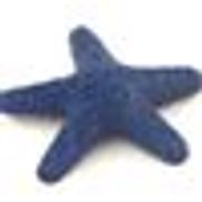 Blue Star Seafood Co. - Fort Myers, FL - Alignable