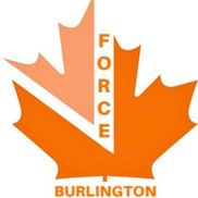 Force Soccer Academy - Burlington, ON - Alignable