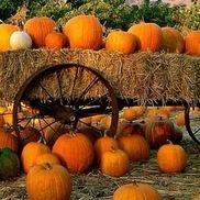 Sayler Park 11th. Annual Harvest Festival 2017 by Sayler Park Harvest ...