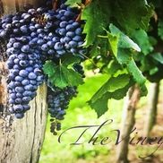 The Vineyard Recording Studio - Raleigh, NC - Alignable