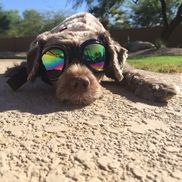 Clarity Consulting - Scottsdale, AZ - Alignable