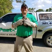 PEST-X-OUT Pest and Wildlife Control - Melbourne, FL - Alignable