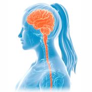 Vitanya Brain Performance - Remote office - Jackson - Alignable