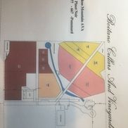 Larry Boitano Builder Ltd. Boitano cellars and vineyards llc - Alignable