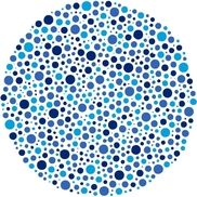 Diversity, Equity and Inclusion by Covey Group in Chicago, IL - Alignable