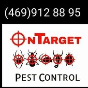 Free termite visual inspection on 75216 zip code by On Target Pest ...
