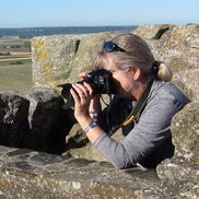 Nancy Truman, freelance editor/writer - Markham, ON - Alignable