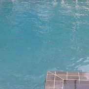 Raridon Construction aka:Sand Dollar Pools - Alignable