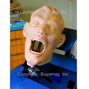 Buyamag Inc. Dental Simulators Manikins Models For Practice Training ...