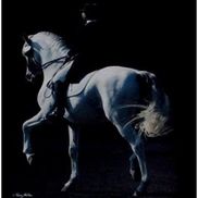 Connie Foss Lost Wax Bronze "Three To Show" Coffee Table Sculpture by ...