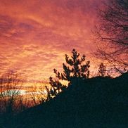 Dr. Sharon Graff, Spiritual Coach by SabbathPoint in Angelus Oaks Area ...